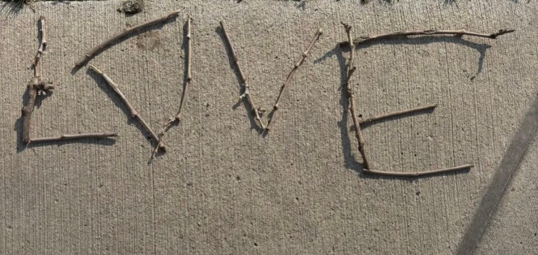 YHWH – The Pure Fix is Here. – Olive Tree Blessings L137